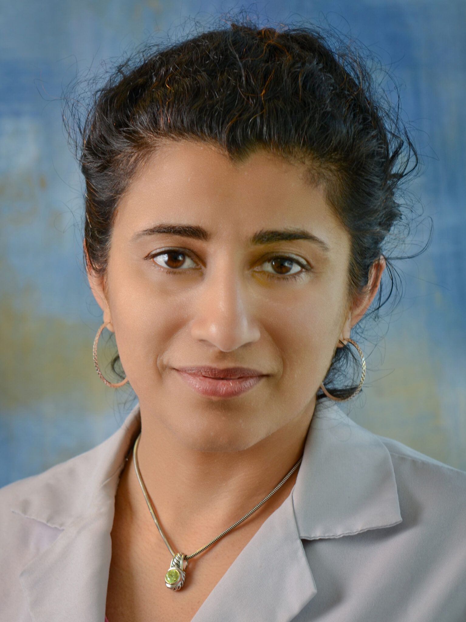 Taruna Penmetcha, MD | Cook County Health